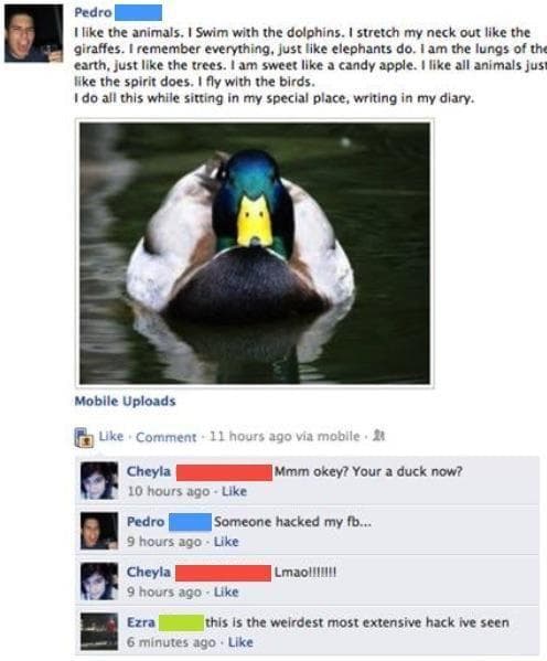 Random People Who Will Never Forget to Log Out of Facebook Again | Best ...