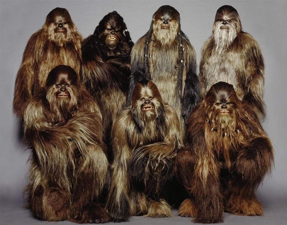 What Are Cowlicks and Why Do We Have Them?