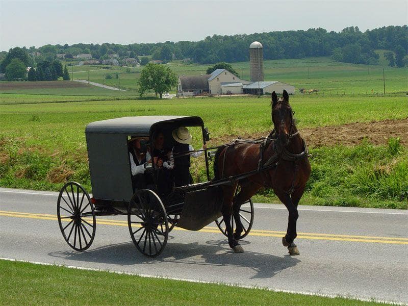 21 Amish Rumspringa Facts and Stories: What Really Happens