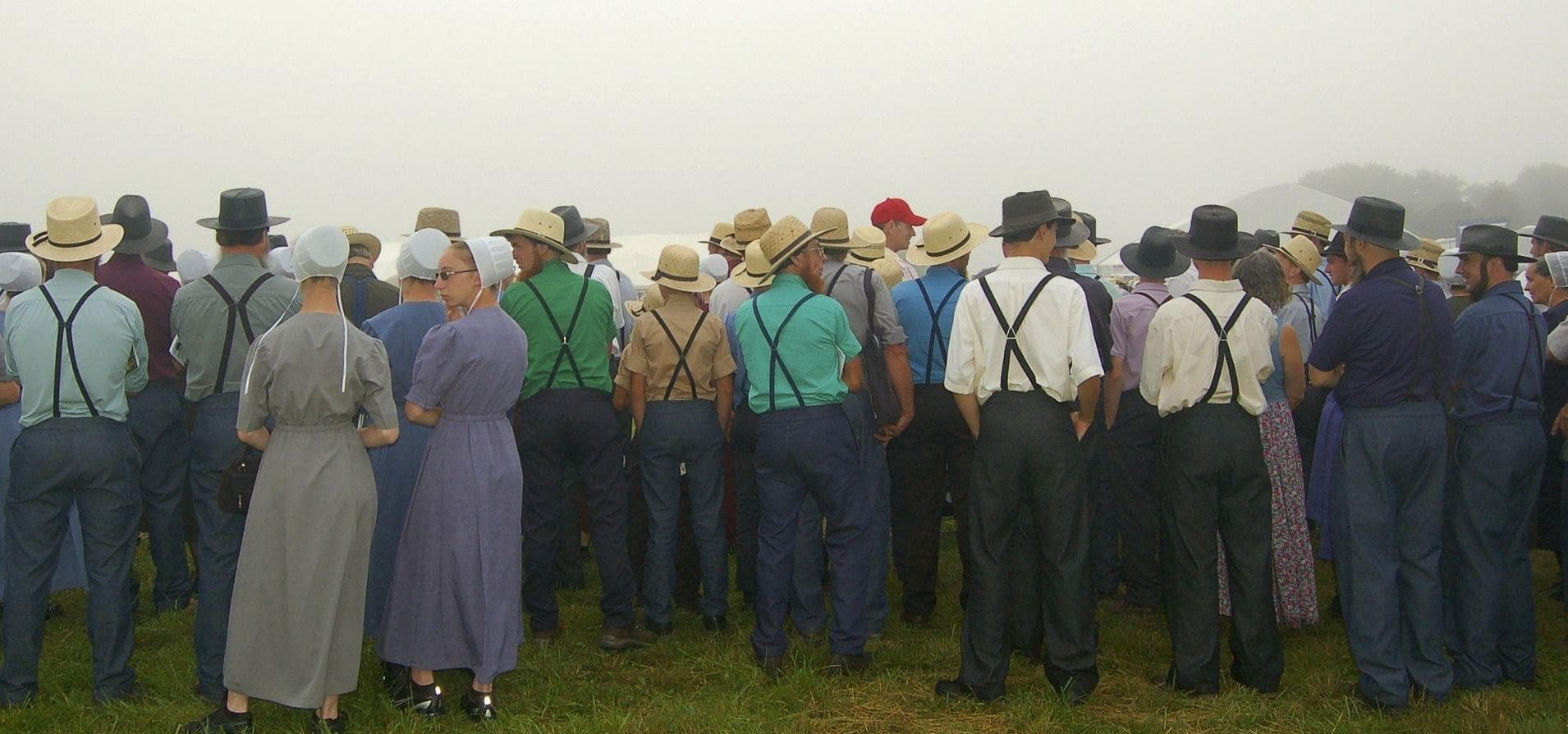 21 Amish Rumspringa Facts and Stories: What Really Happens