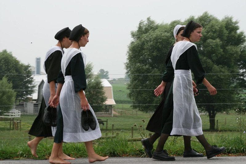 21 Amish Rumspringa Facts and Stories: What Really Happens