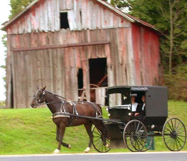 21 Amish Rumspringa Facts and Stories: What Really Happens
