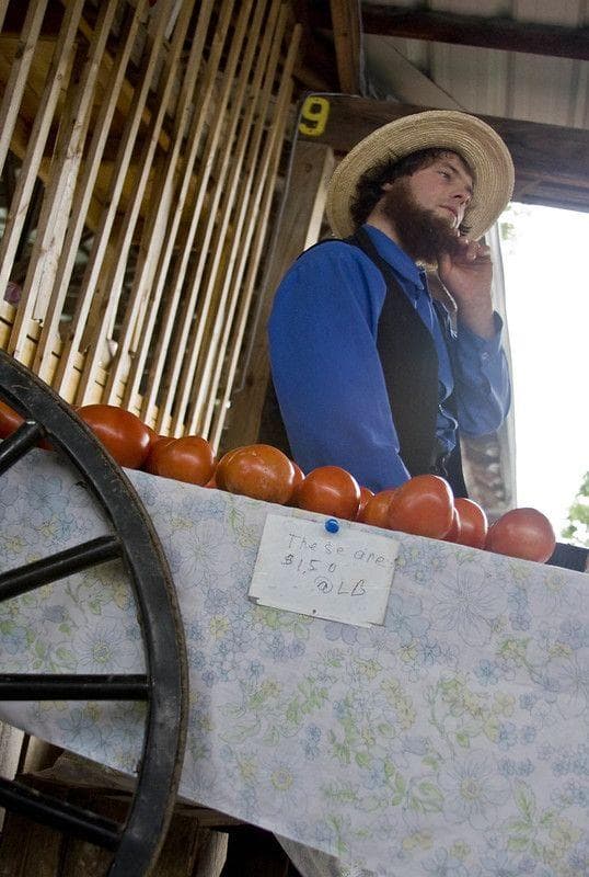 21 Amish Rumspringa Facts and Stories: What Really Happens