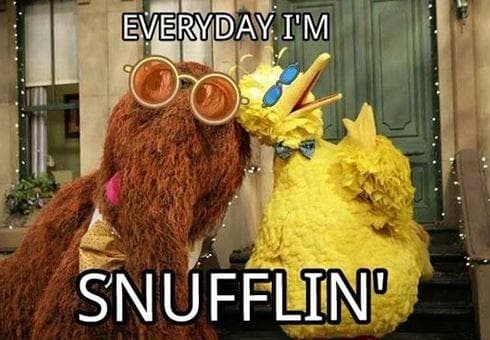 Sesame Street Offensive Memes