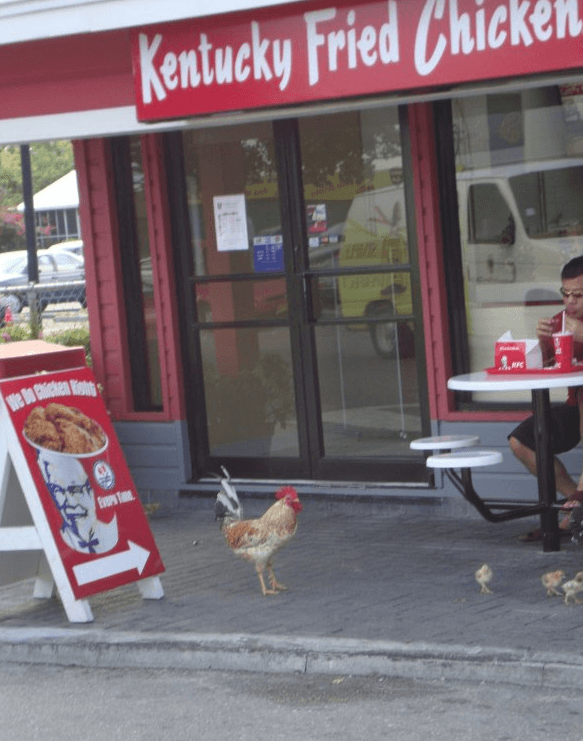 24 KFC Photos That Will Make You Laugh Out Loud