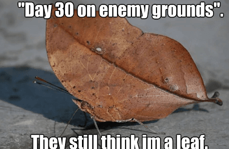 Fall Memes to Get You Ready for the Season