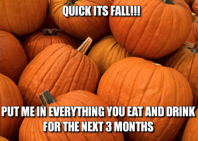 Fall Memes to Get You Ready for the Season