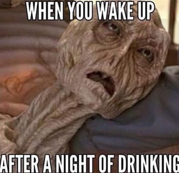 Photos That'll Help You Survive Your Latest Hangover