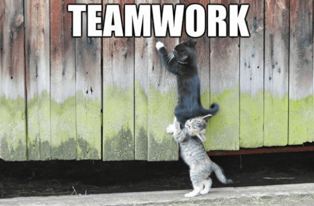 22 Awesome Examples of Teamwork Done Right
