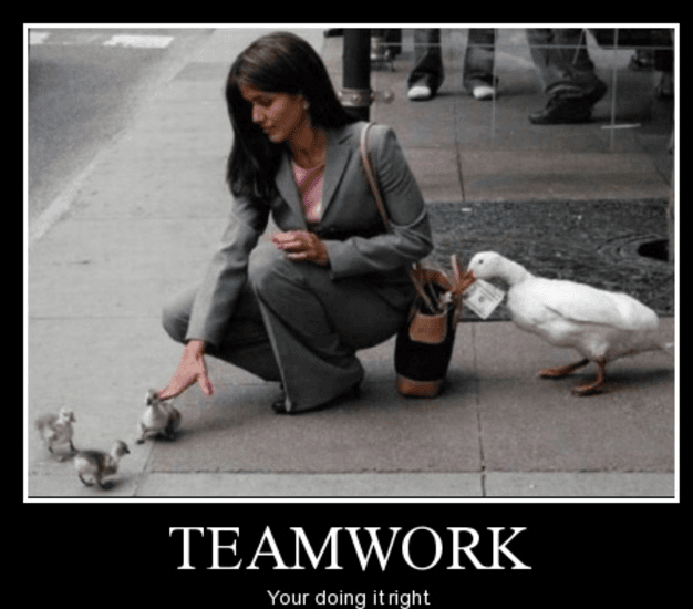 22 Awesome Examples of Teamwork Done Right
