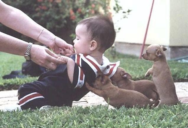 22-awesome-examples-of-teamwork-done-right