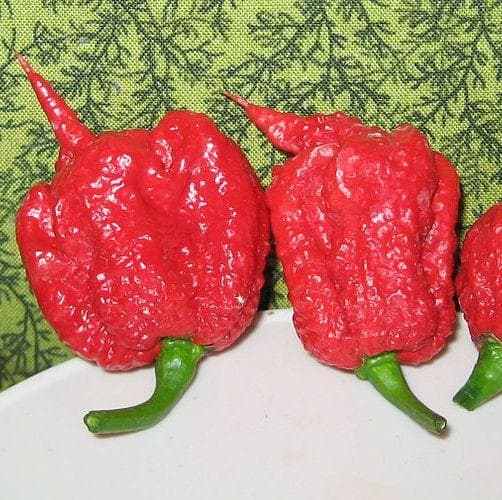 16 Incredible (and Disgusting) World Records Involving Food