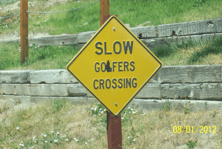 22 Funny Signs That Avid Golfers Will Appreciate