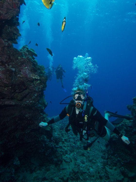 Terrifying Scuba Accidents That Will Make You Scared of Diving