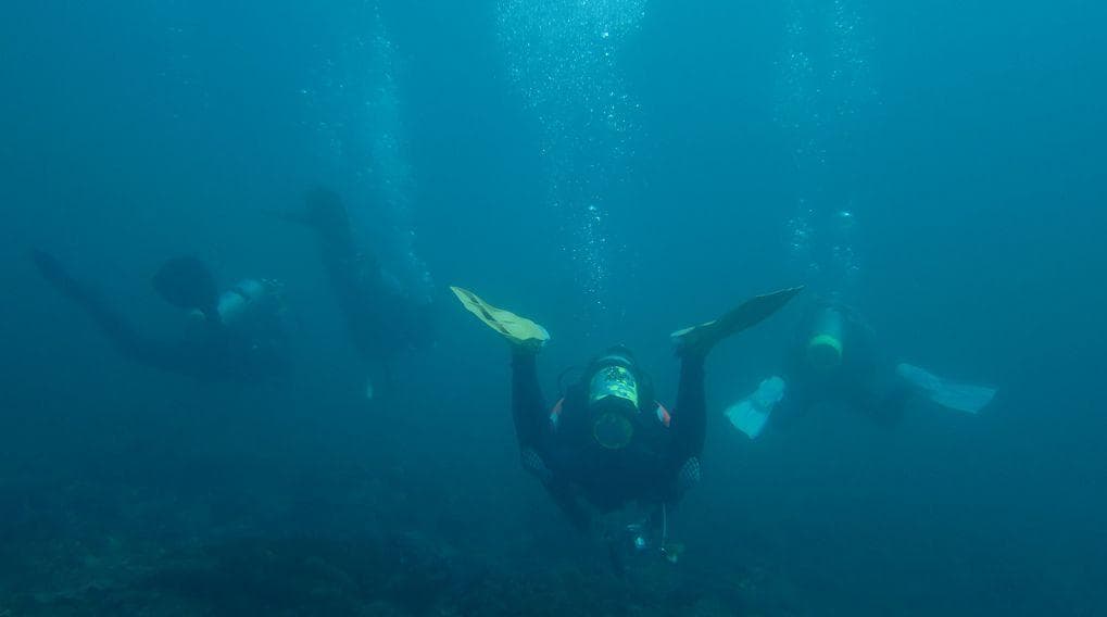 Terrifying Scuba Accidents That Will Make You Scared of Diving