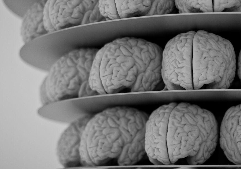 What Does Human Meat Taste Like? Cannibals Describe It