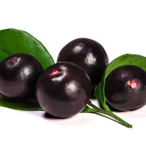 Best Tropical Fruits to Eat