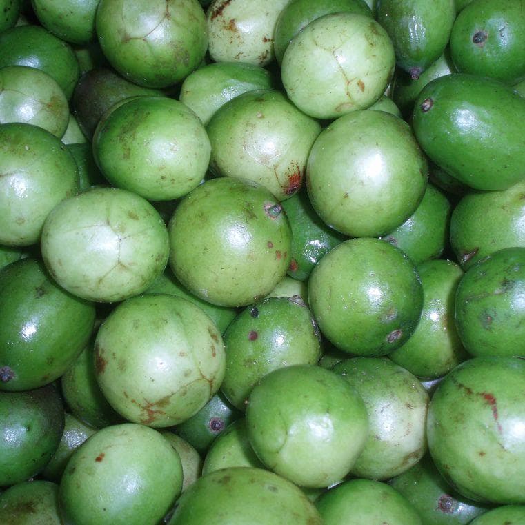 Best Tropical Fruits to Eat