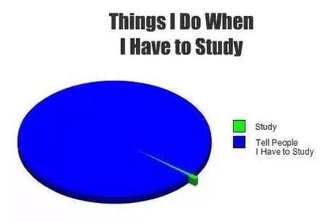 Funny Pie Charts That Are So True