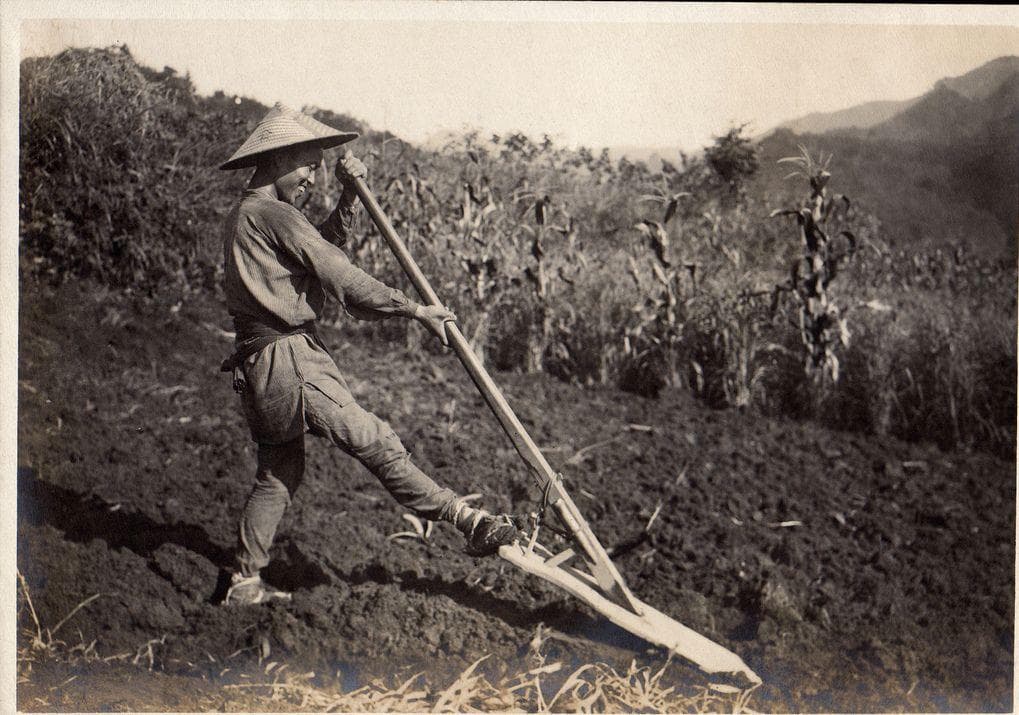 15 Weird, Unexpected Realities of Life in Japan Right After WWII