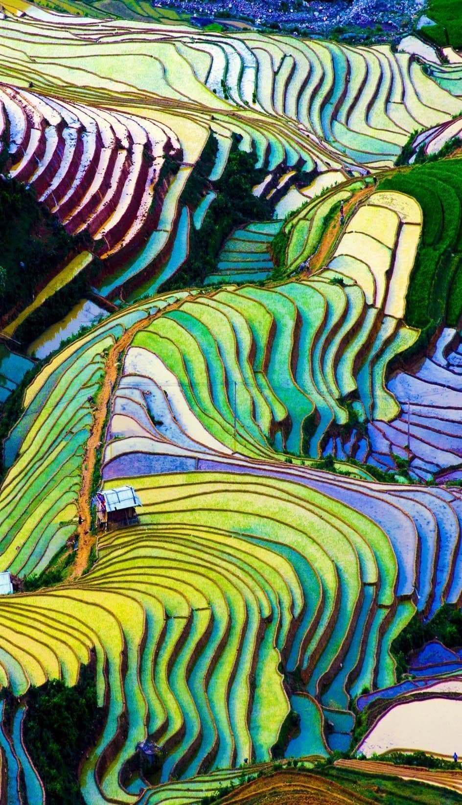 The Most Beautiful Patterned Landscapes in the World