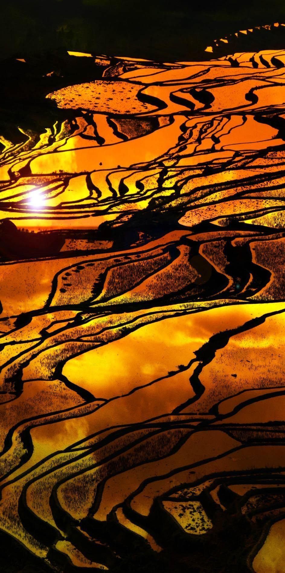 The Most Beautiful Patterned Landscapes in the World