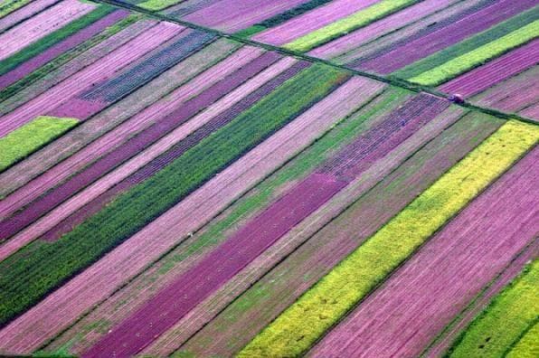 The Most Beautiful Patterned Landscapes in the World