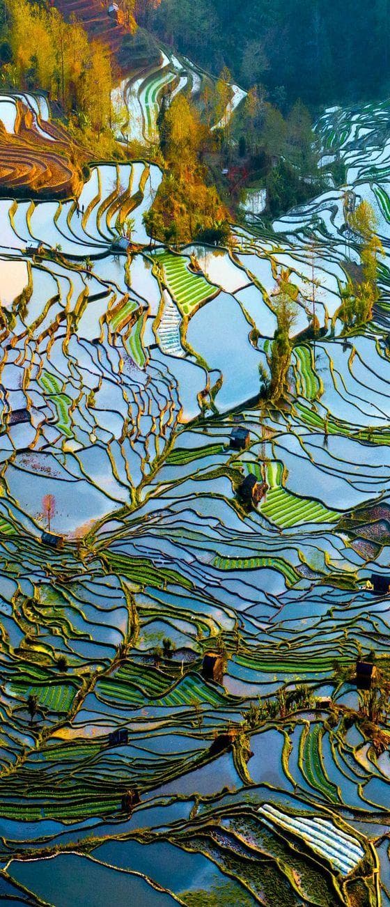 The Most Beautiful Patterned Landscapes in the World