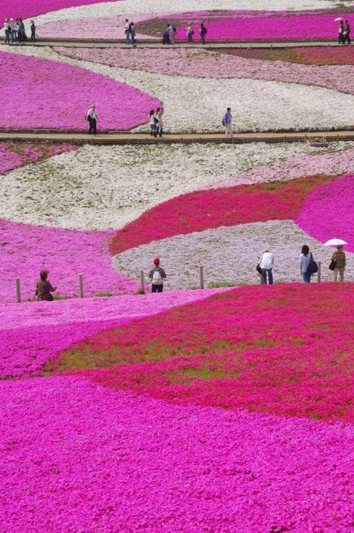 The Most Beautiful Patterned Landscapes in the World