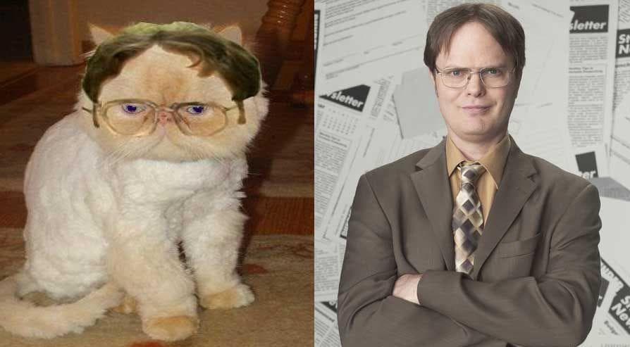 Cats Who Look Like Famous TV Characters