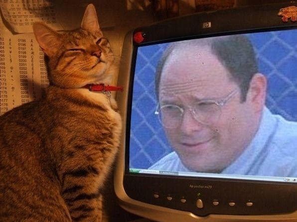 Cats Who Look Like Famous TV Characters