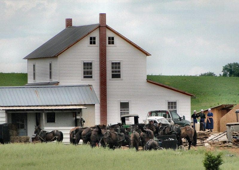 21 Fascinating Facts About Amish Beliefs and Culture