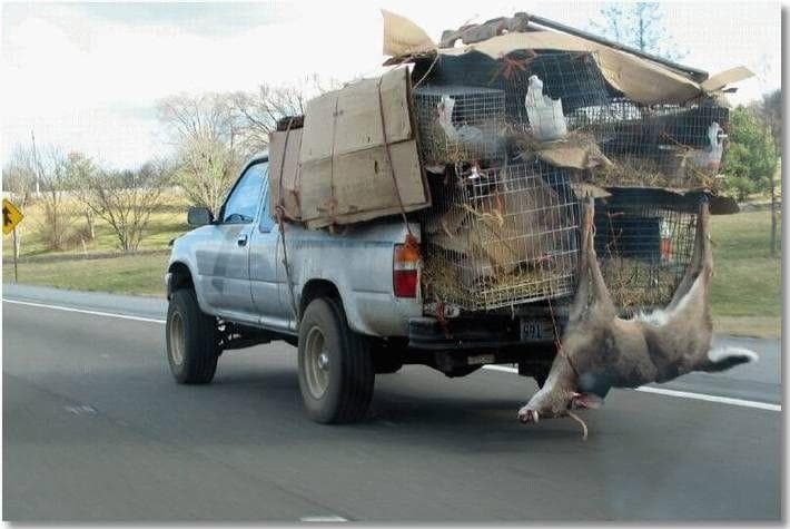 The Most Hilarious Redneck Trucks of All Time