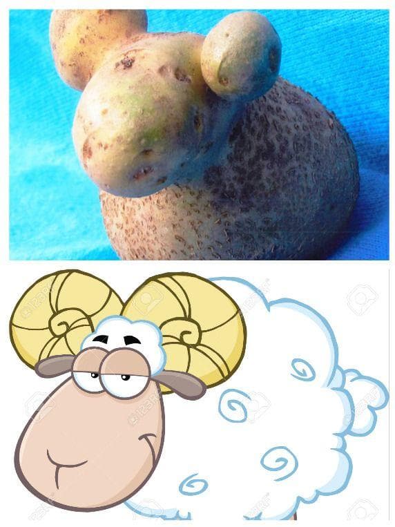 Foods That Weirdly Look like Cartoon Characters