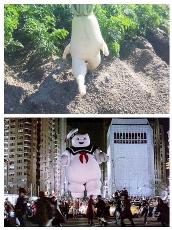 Foods That Weirdly Look like Cartoon Characters