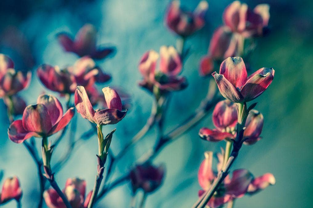 16 Colorful Facts You Should Know About Synesthesia