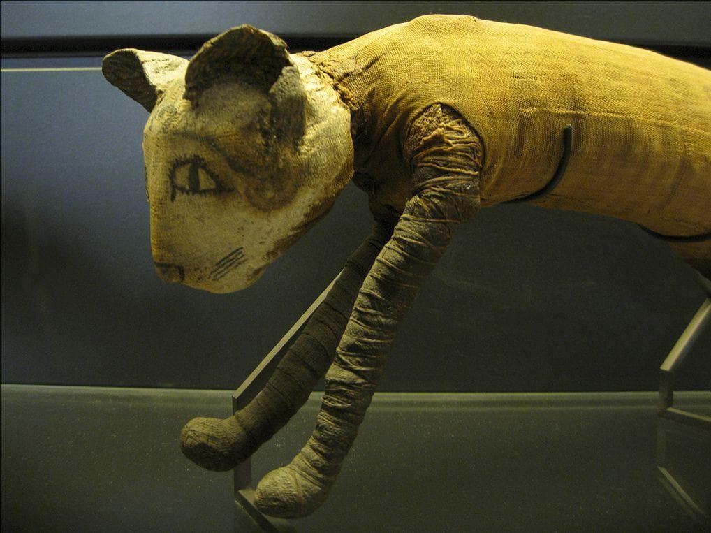 Strange and Fascinating Mummification Practices Around the World