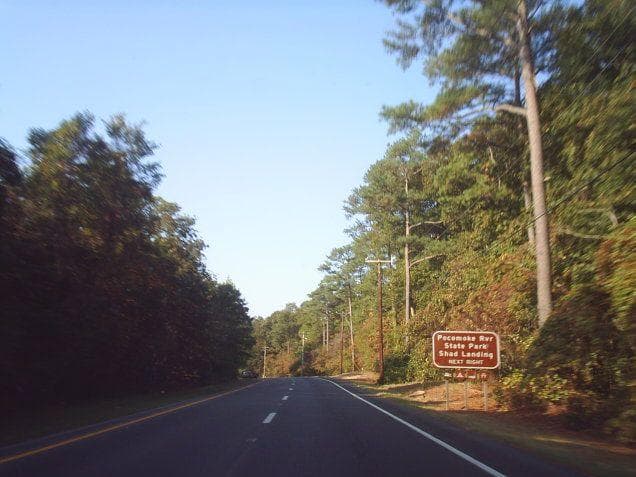 Myths and Legends Surrounding Maryland's Haunted Pocomoke Forest