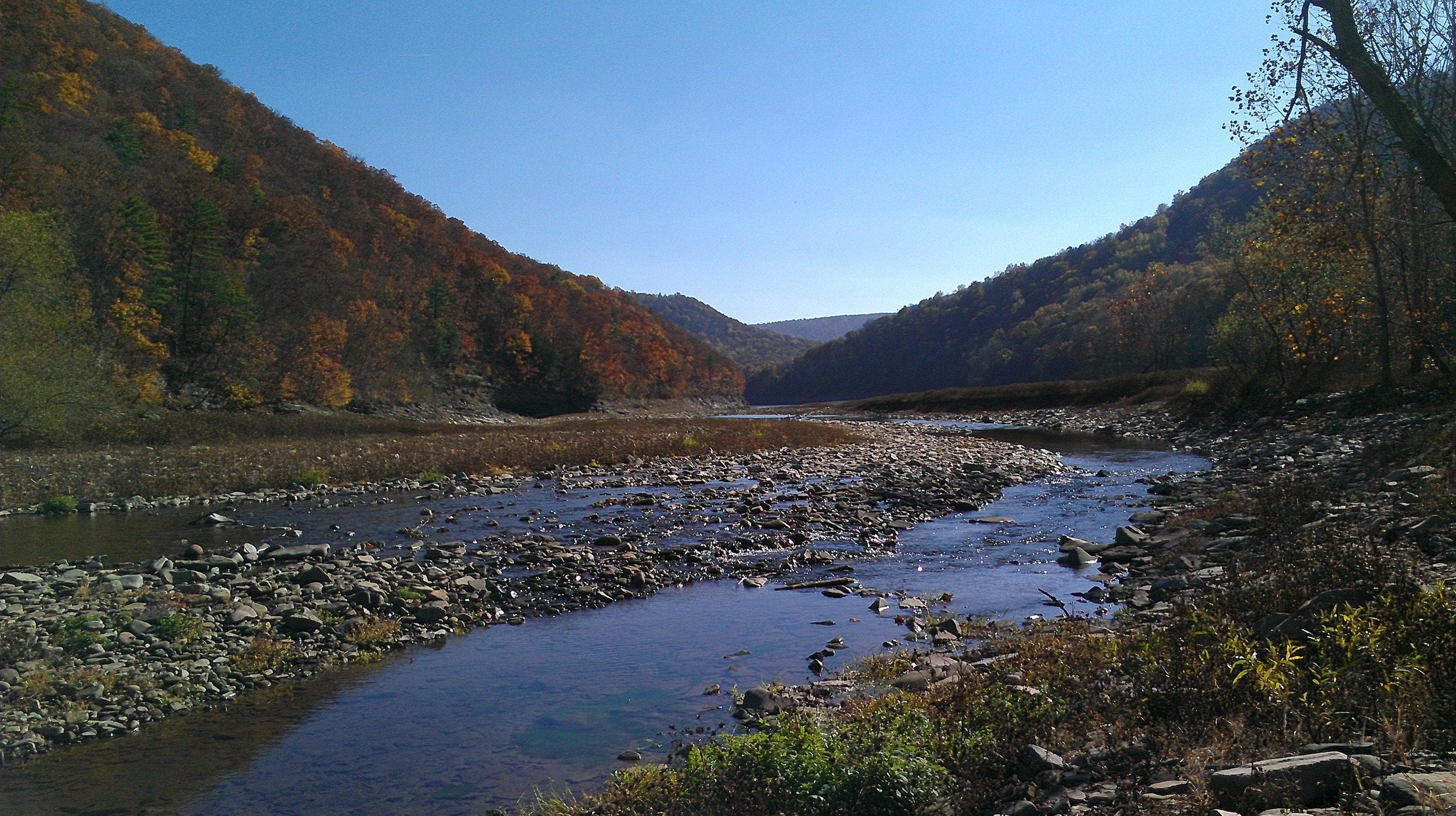Myths and Legends Surrounding Maryland's Haunted Pocomoke Forest