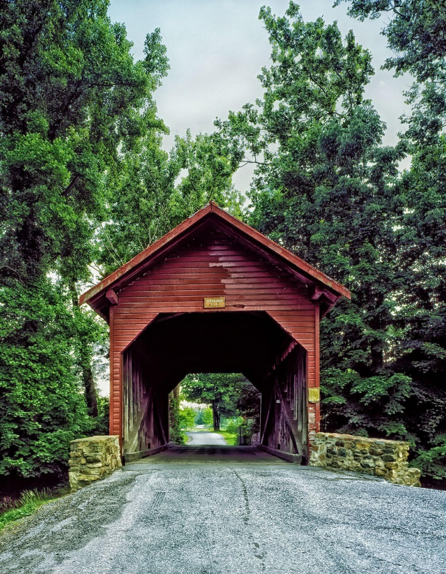 Myths and Legends Surrounding Maryland's Haunted Pocomoke Forest