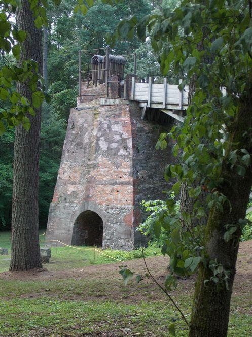Myths and Legends Surrounding Maryland's Haunted Pocomoke Forest