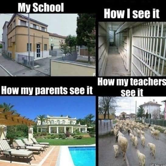 Classroom Memes That Will Make You Glad You're Not A Student Anymore