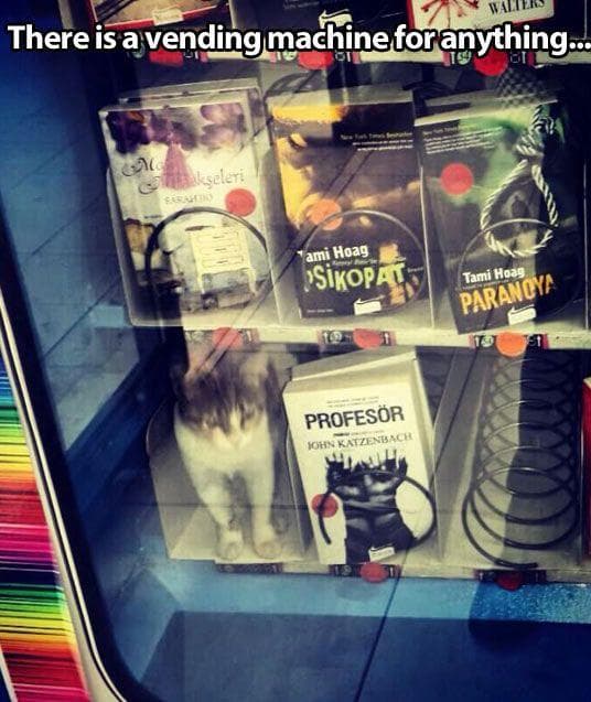 21 Funny Vending Machine Photos You Don't See Everyday