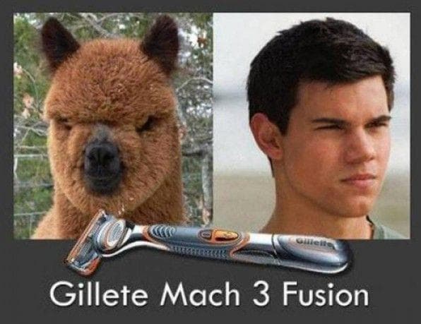 The Funniest 'Before And After' Memes Ever