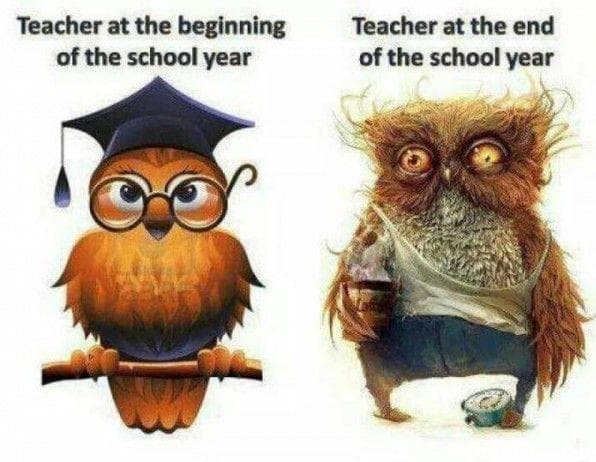 The Funniest 'Before And After' Memes Ever