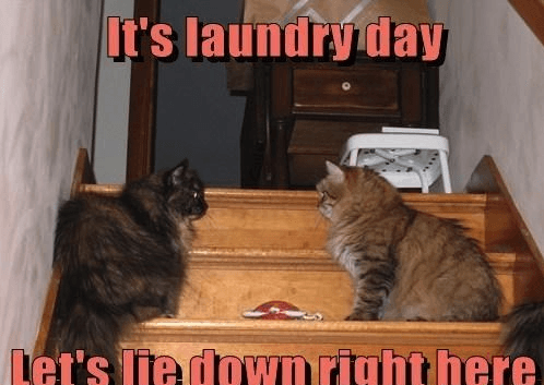 25 Laundry Memes That Perfectly Describe the Struggle