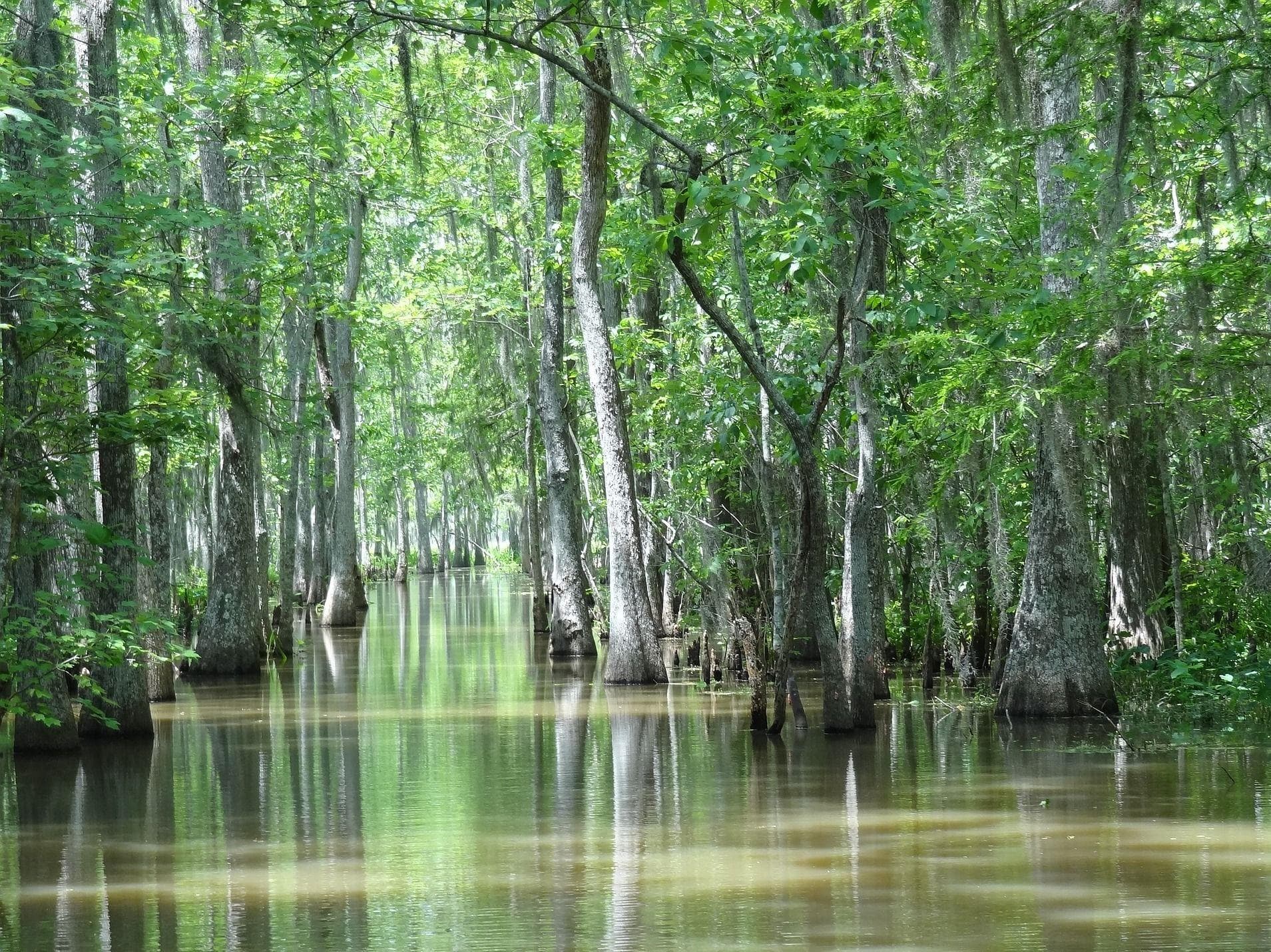 15 Chilling Ghost Stories and Urban Legends from Louisiana