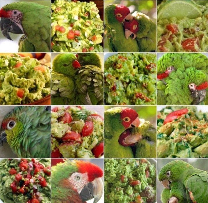 Animals or Foods: Memes That Make It Hard to Tell