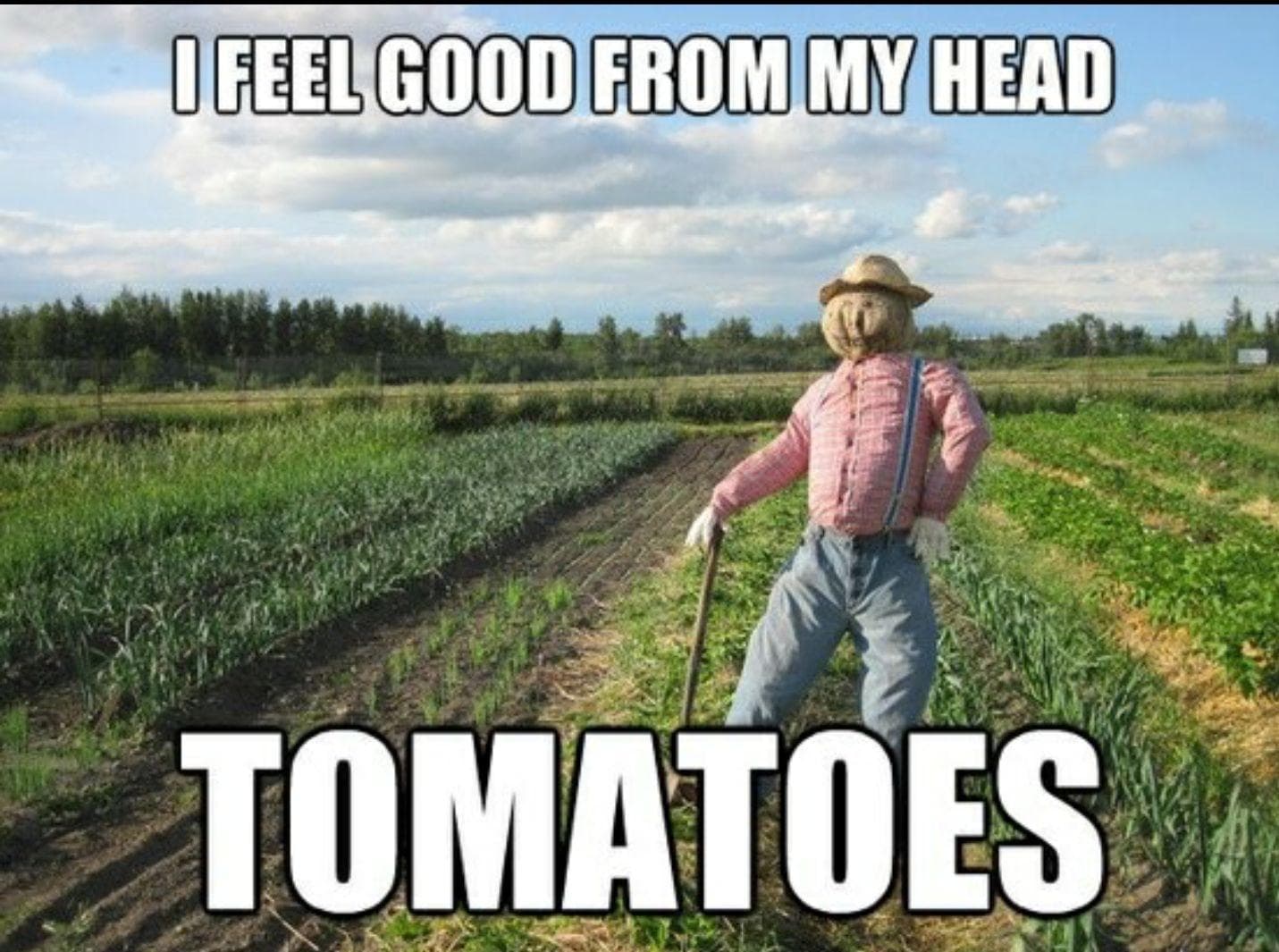 15 Hilarious Redneck Puns and Memes