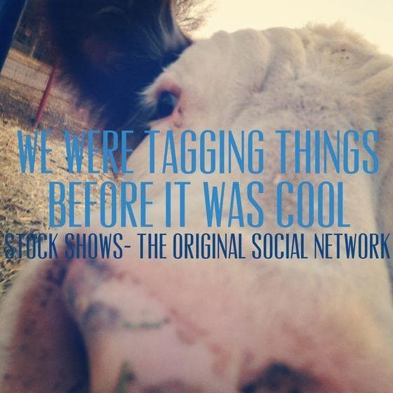 15 Hilarious Redneck Puns and Memes